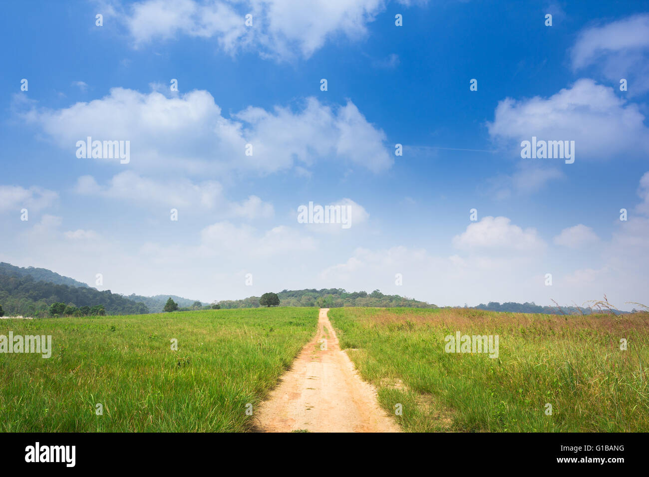 Hill field long grass hi-res stock photography and images - Alamy