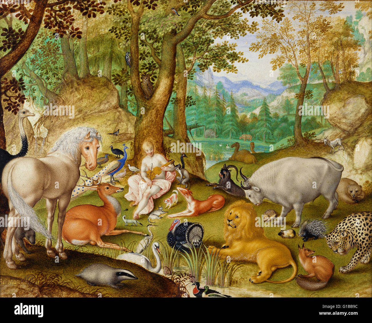 Orpheus with animals hi-res stock photography and images - Alamy