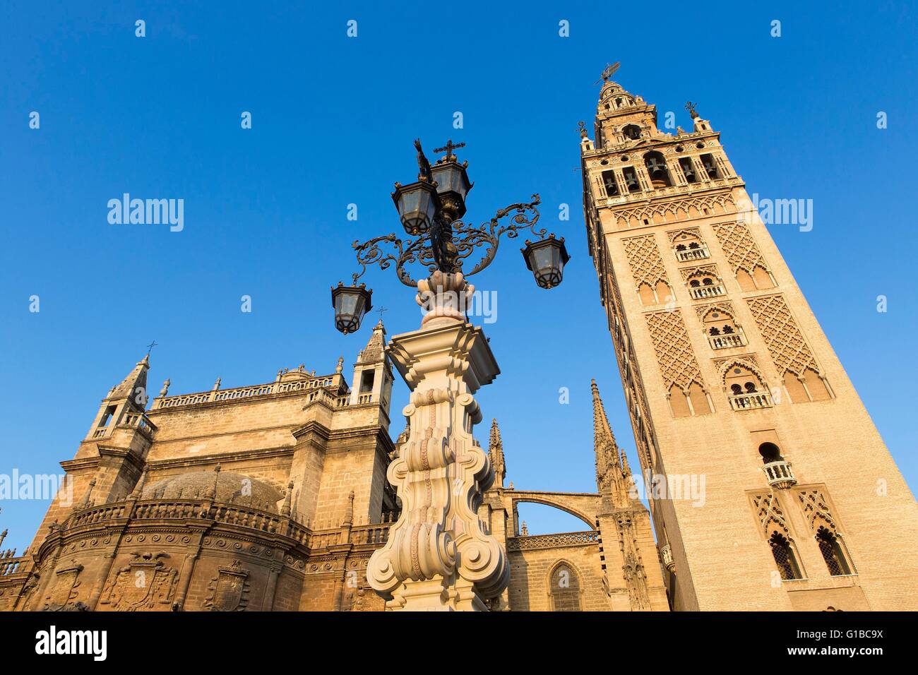 Spain, Andalucia, Sevilla, Plaza del Triunfo, the Giralda tower former ...