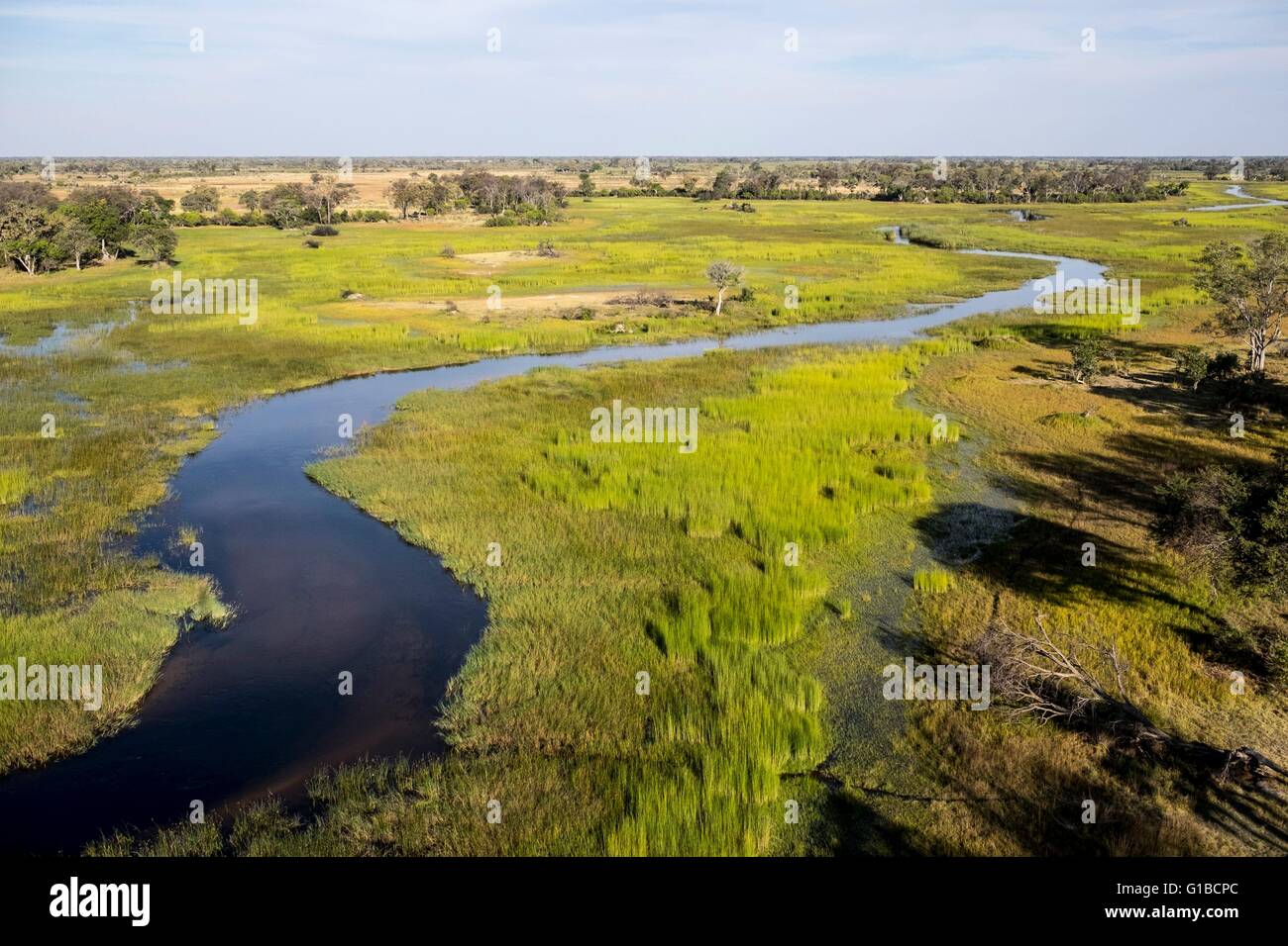 Botswana, Okavango Delta, Moremi Game Reserve Stock Photo - Alamy