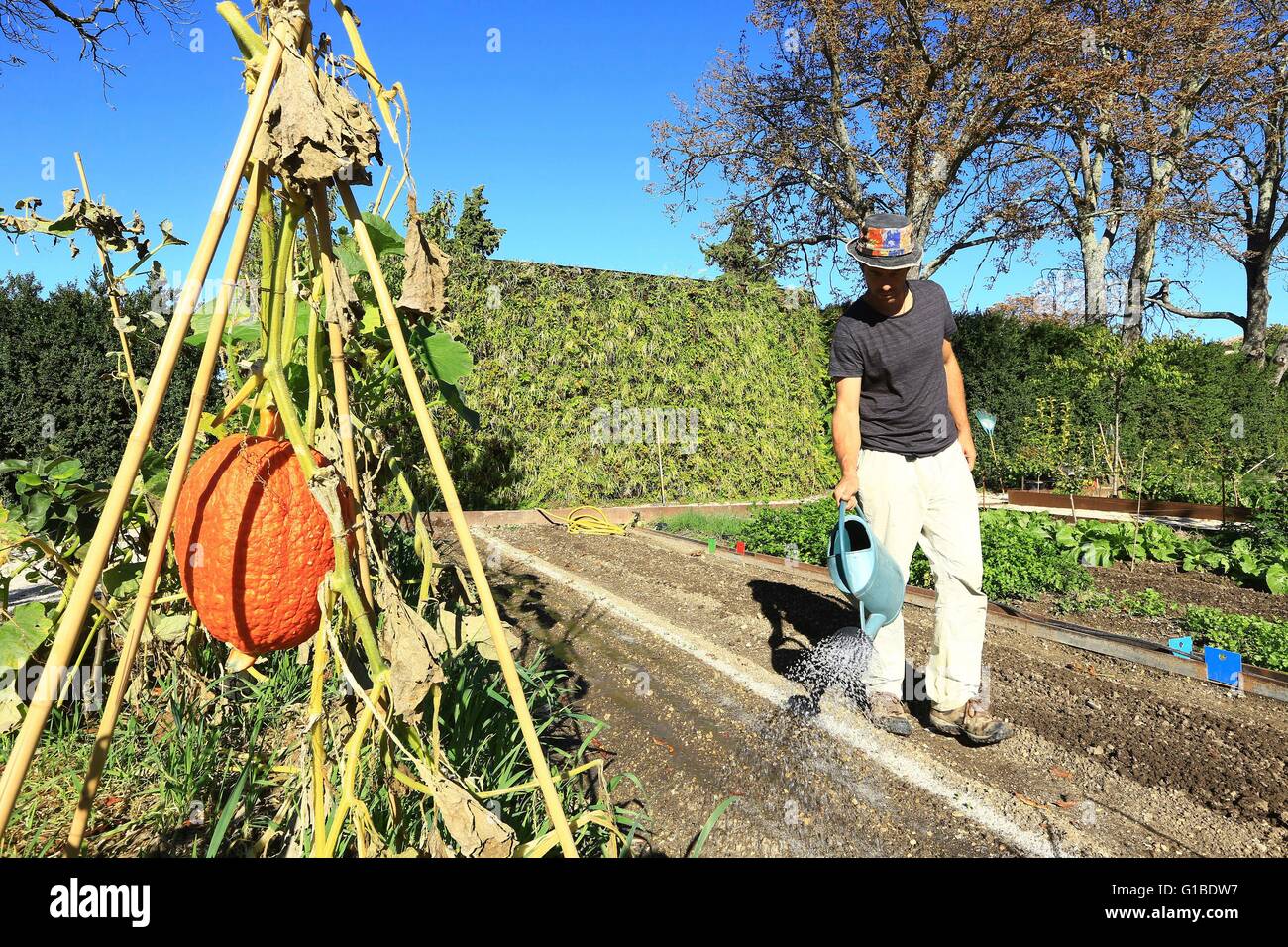 Coste Dazur High Resolution Stock Photography and Images - Alamy
