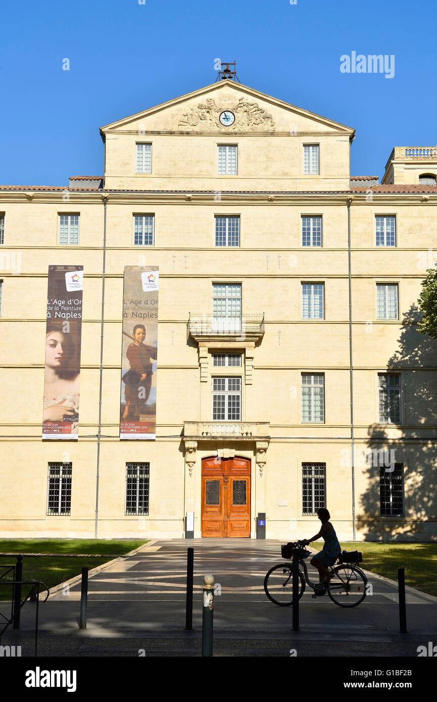 France, Herault, Montpellier, historical center, the Ecusson, Fabre ...