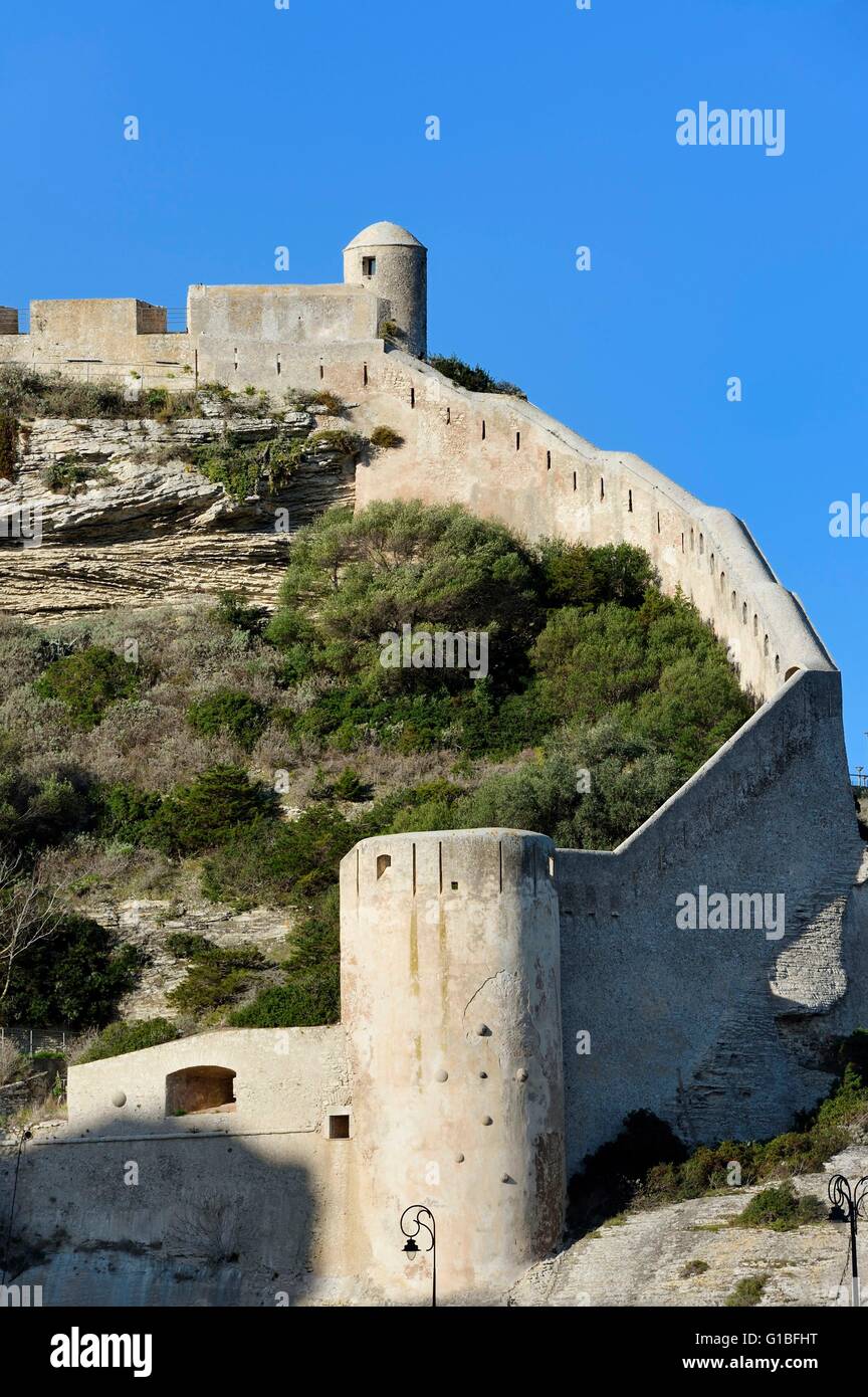 France, Corse du Sud, Bonifacio, ramparts of the citadel Stock Photo ...