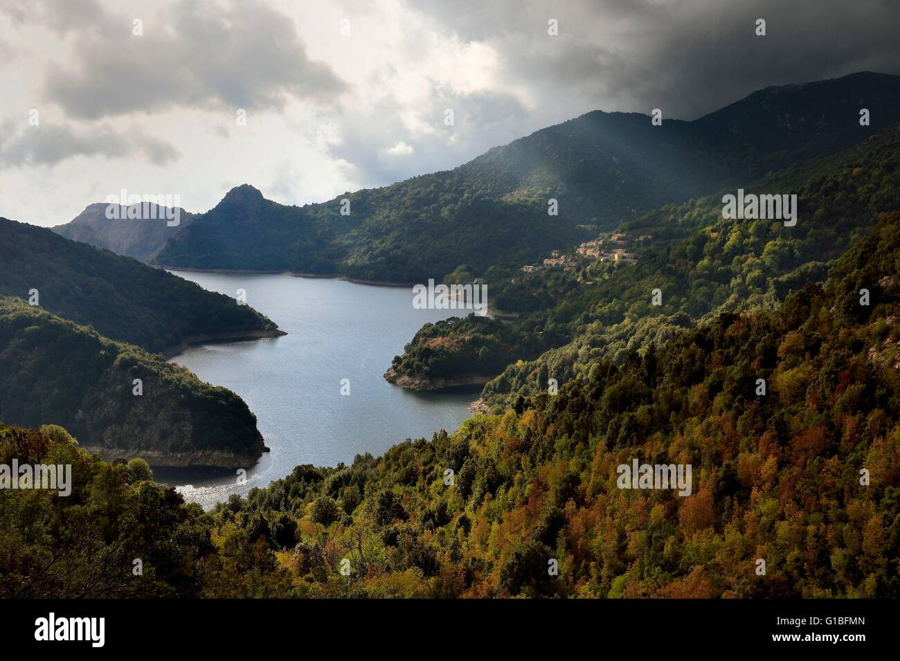 France, Corse du Sud, Prunelli river valley, the village of Tolla at ...
