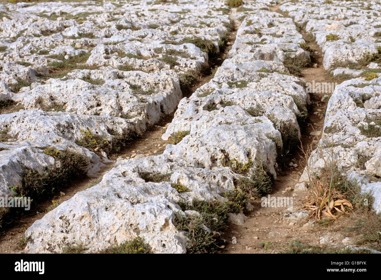 Cart ruts hi-res stock photography and images - Alamy