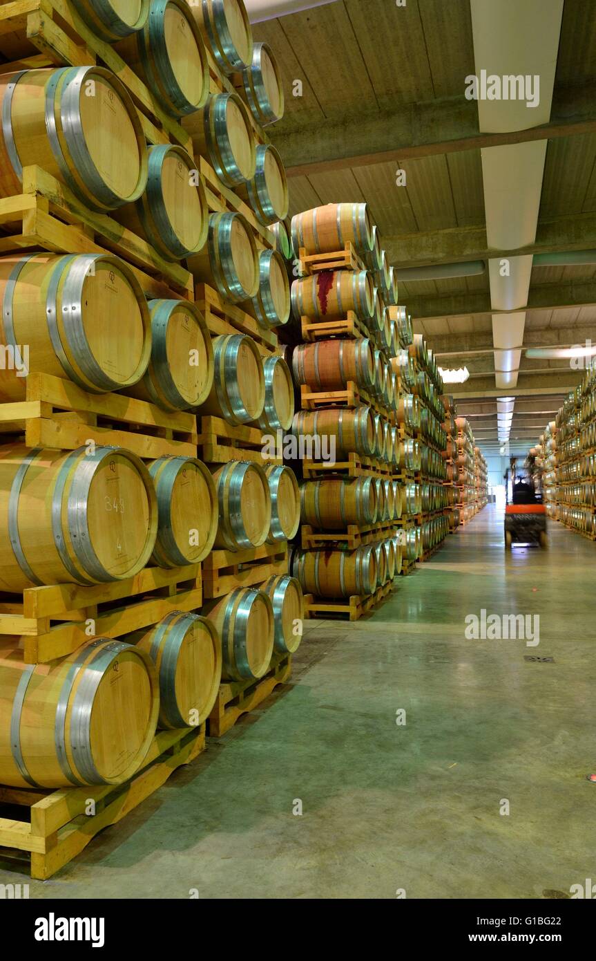 France, Gironde, Blanquefort, Castel group, the largest wineries in ...