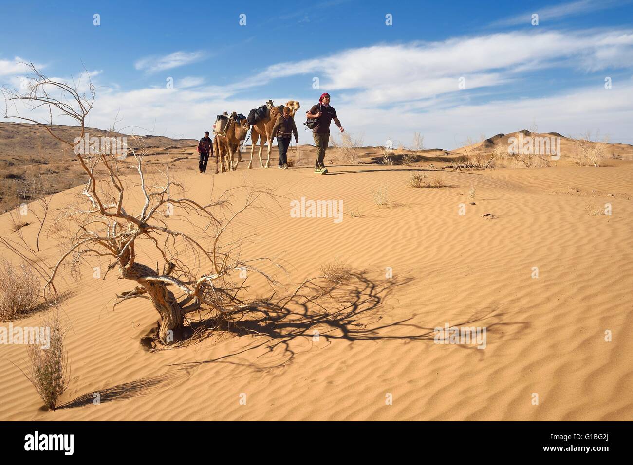 Iran, Isfahan province, Dasht-e Kavir desert, Mesr in Khur and Biabanak ...