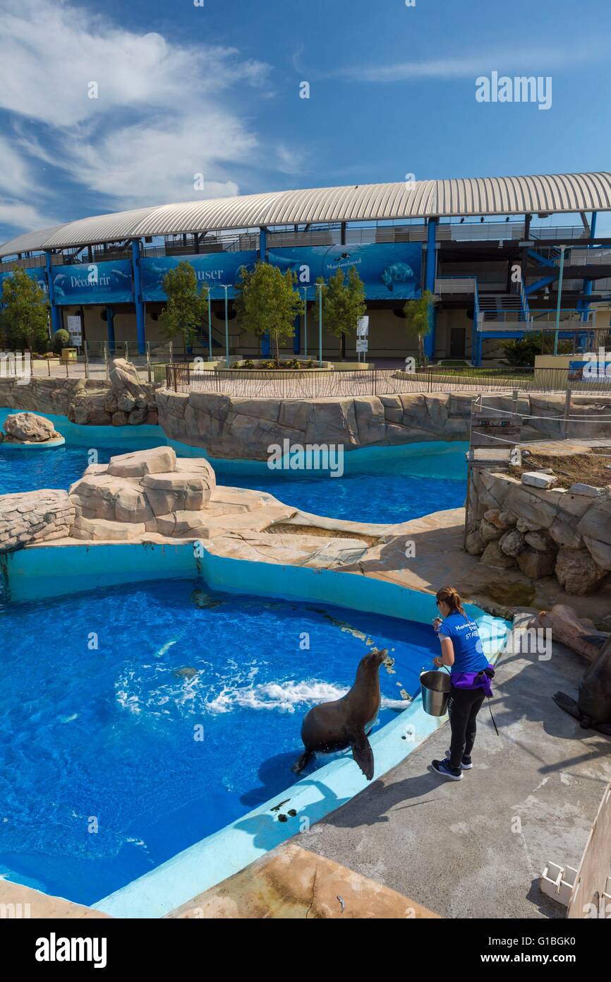 France, Alpes Maritimes, Antibes, Marineland, marine park, sea lions ...