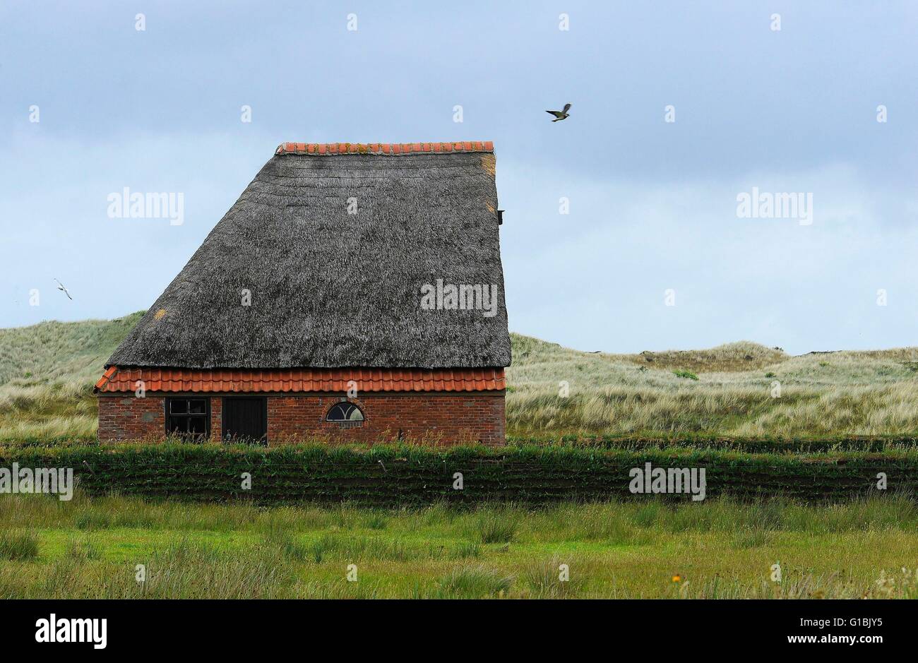 Netherlands, Holland Wadden, Texel, House single pinion, characteristic ...
