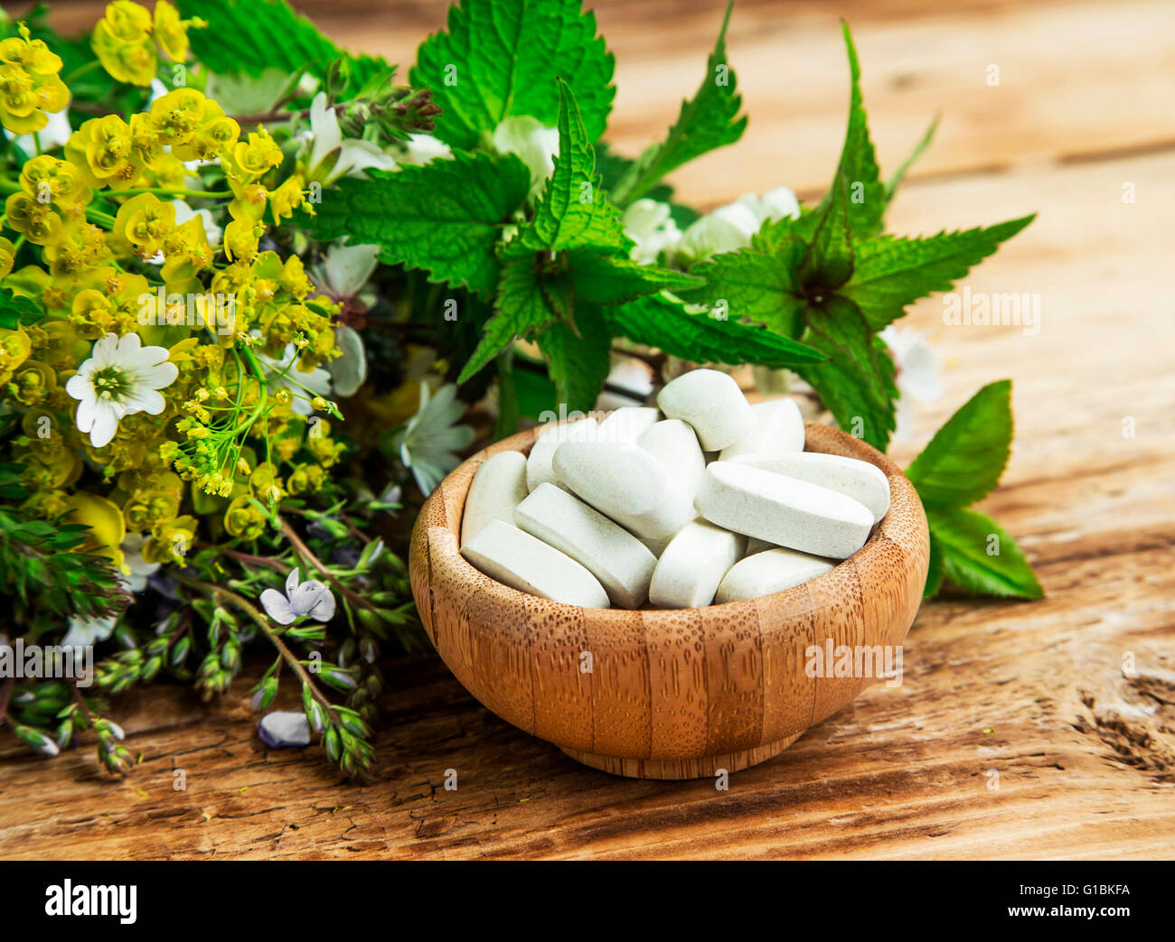 Alternative medicine with plants extract pills and medicinal plants ...