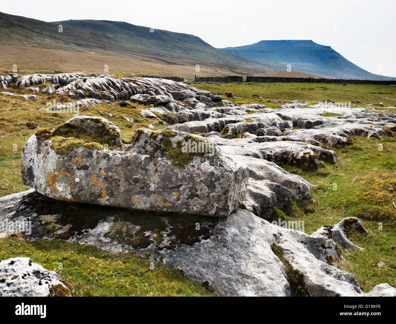 Mossy Boulder on Limestone Pavement and Ingleborough from Sleights ...