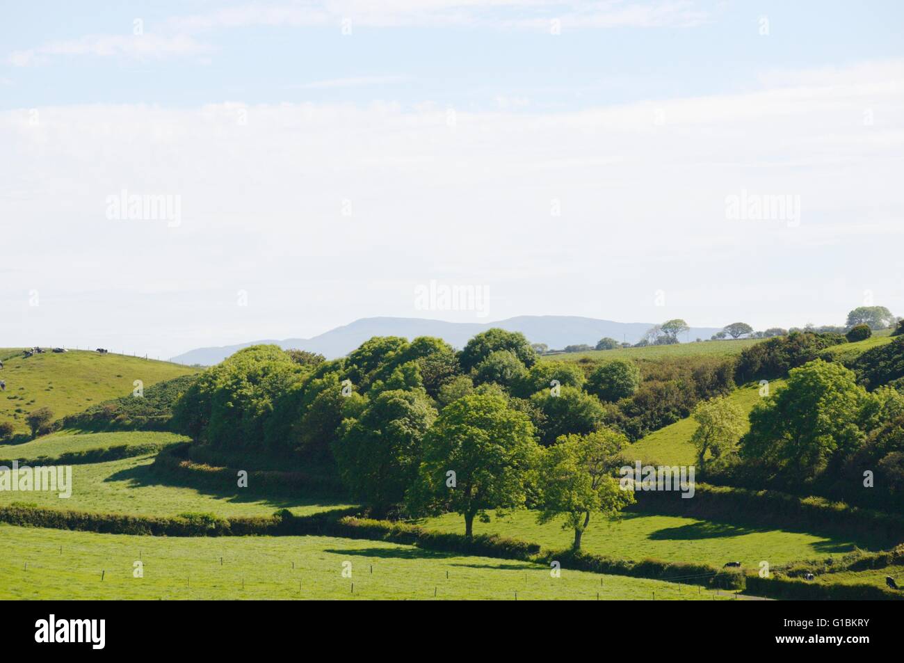 Pumlumon hi-res stock photography and images - Alamy