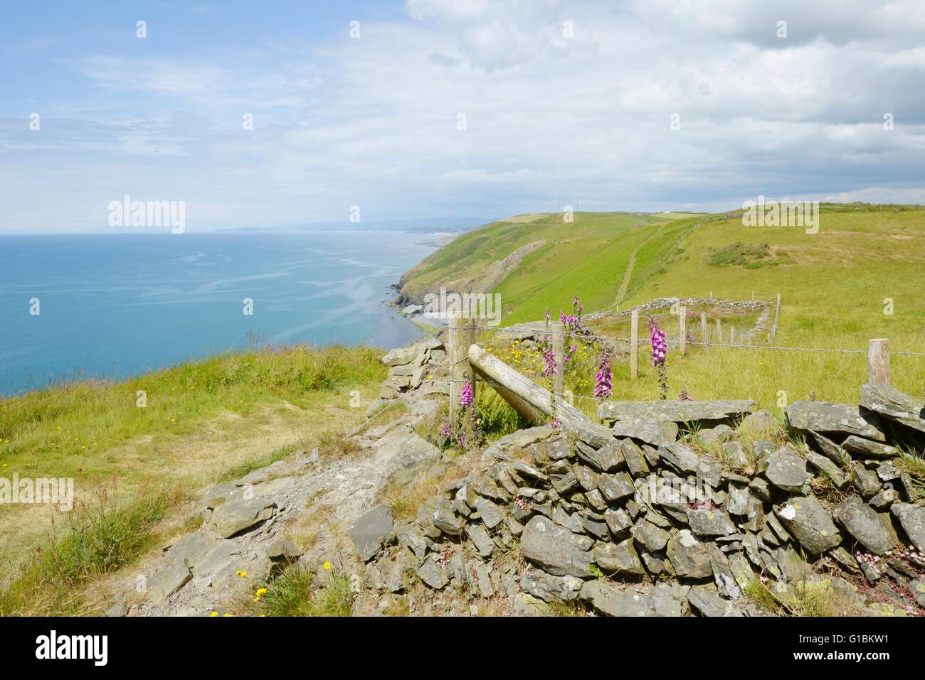 The Welsh coastal path near Llanrhystud, Ceredigion, looking North ...