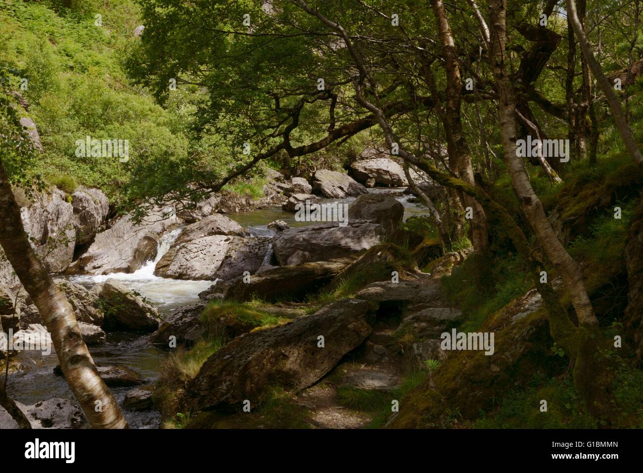 The River Tywi at, Dinas RSPB reserve, Wales, UK Stock Photo - Alamy