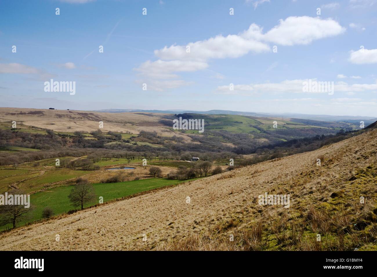 Cwm clydach rspb reserve hi-res stock photography and images - Alamy