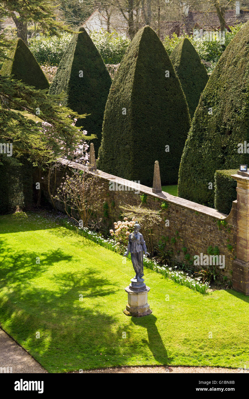 Pyramid yew trees hi-res stock photography and images - Alamy