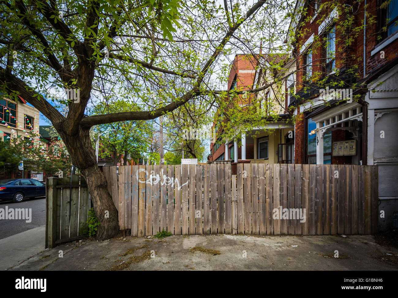 Houses and fence on D'Arcy Street, in Toronto, Ontario Stock Photo - Alamy