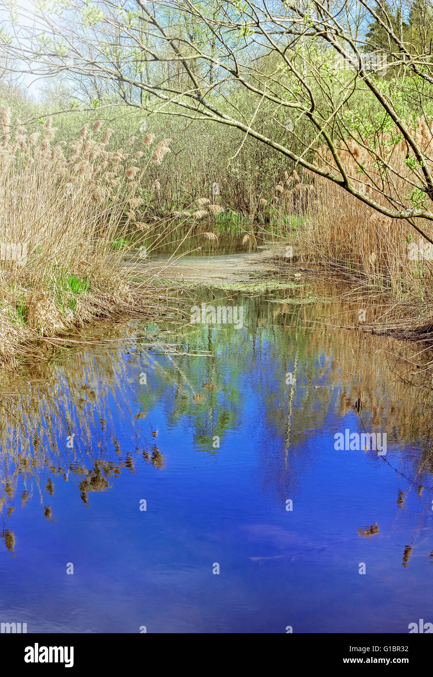 Nice spring hi-res stock photography and images - Alamy