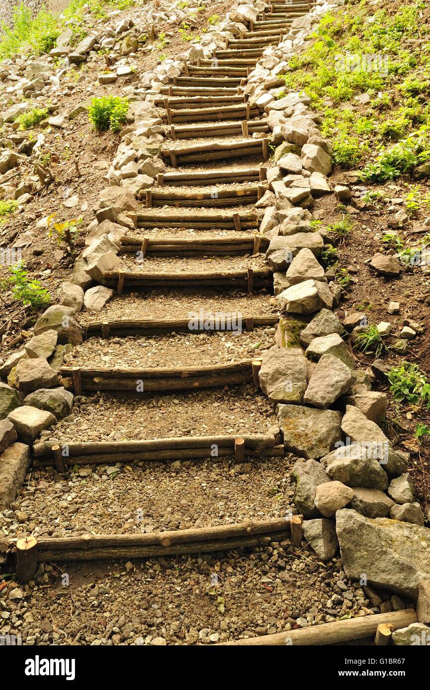 Natural wooden stairs with rocks in forest Stock Photo - Alamy