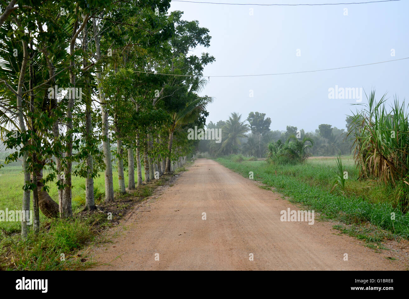 Lateritic soil road at countryside morning time in Phatthalung ...