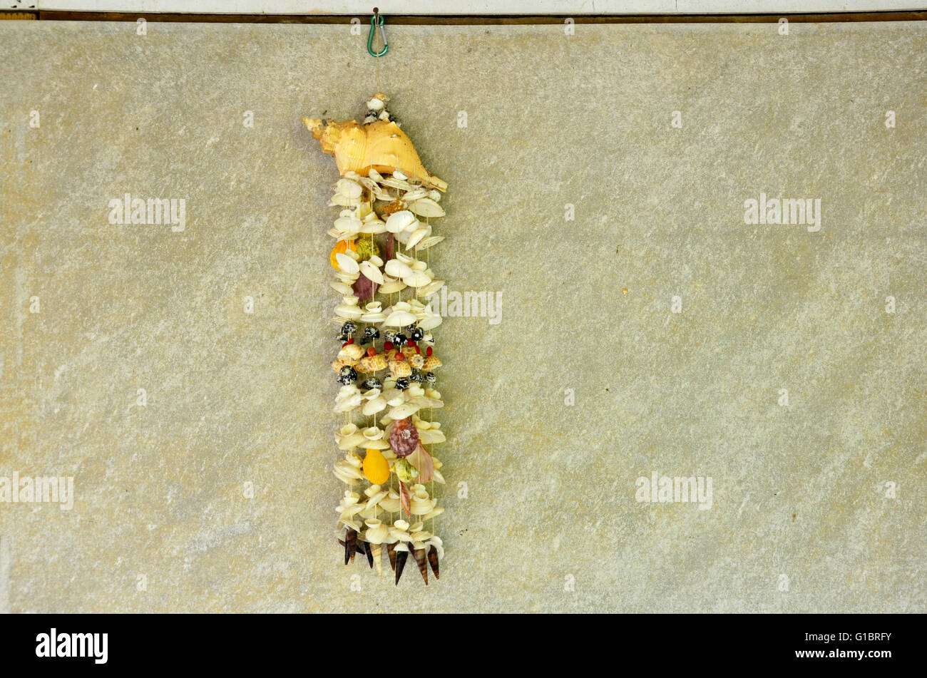Shell hanging mobile with smartboard background Stock Photo - Alamy