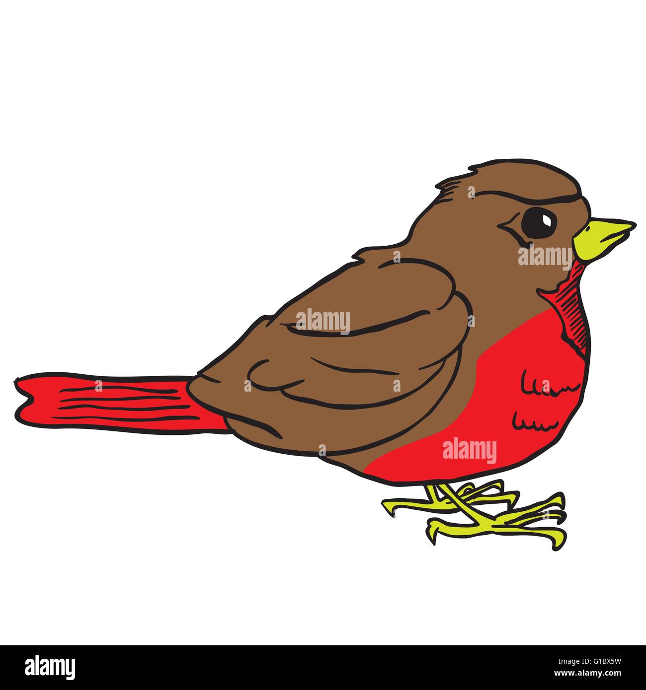 Robin Cartoon High Resolution Stock Photography and Images - Alamy