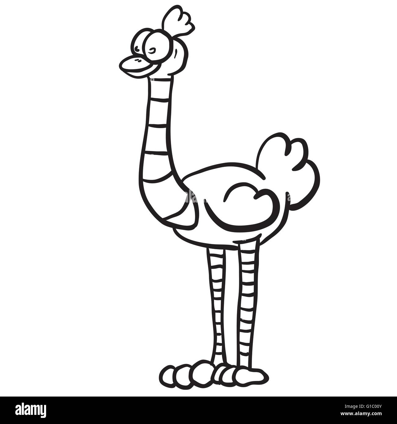 Ostrich cartoon hi-res stock photography and images - Alamy