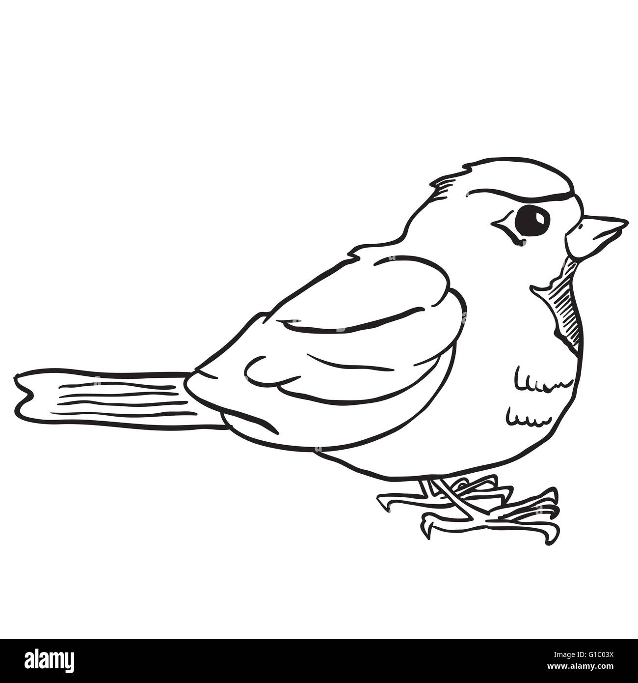 Robin cartoon hi-res stock photography and images - Alamy