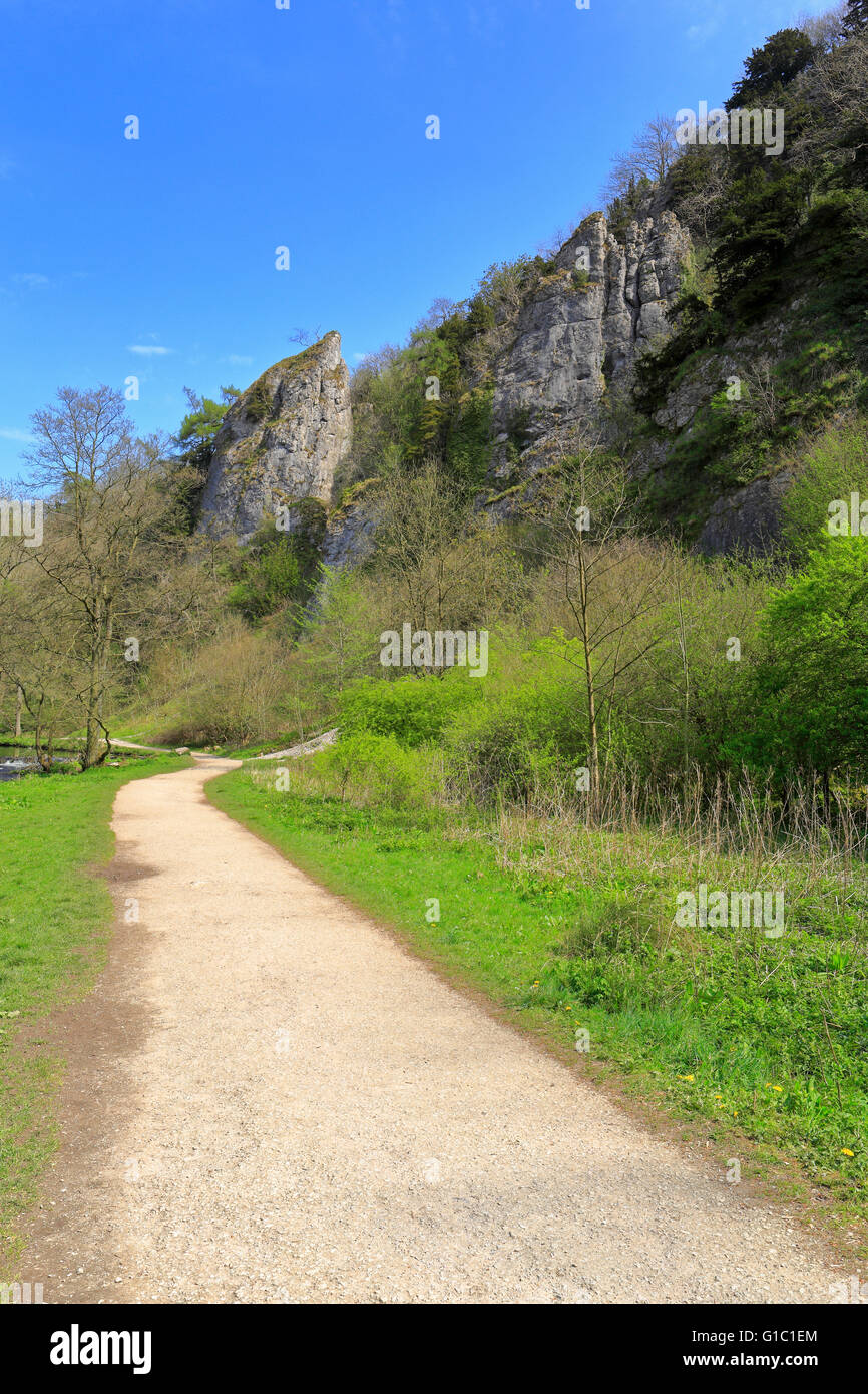 Tissington Spires limestone pinnacles, Dovedale, Peak District National ...