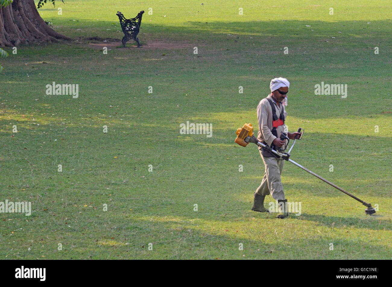 Man mowing lawn at Western Group temple complex, Khajuraho, Madhya ...