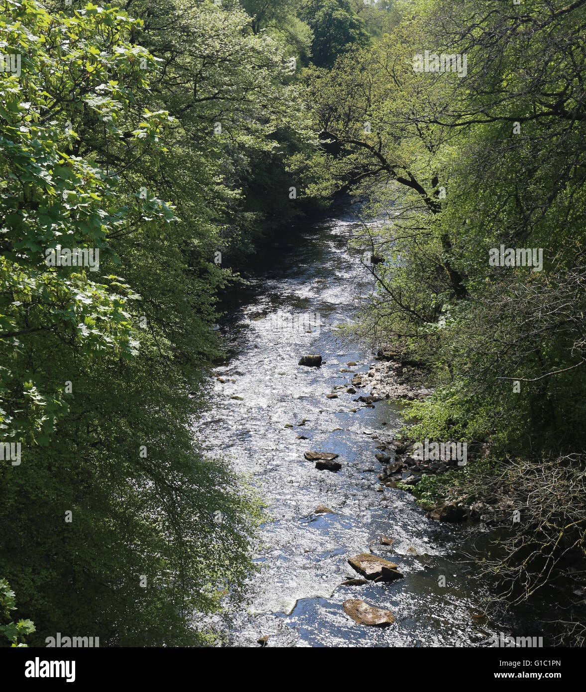 Elevated view of Allan Water Dunblane Scotland May 2016 Stock Photo - Alamy