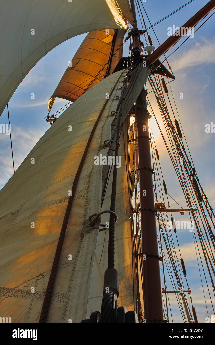 Foremast and sails of the tall ship Amphitrite Stock Photo - Alamy