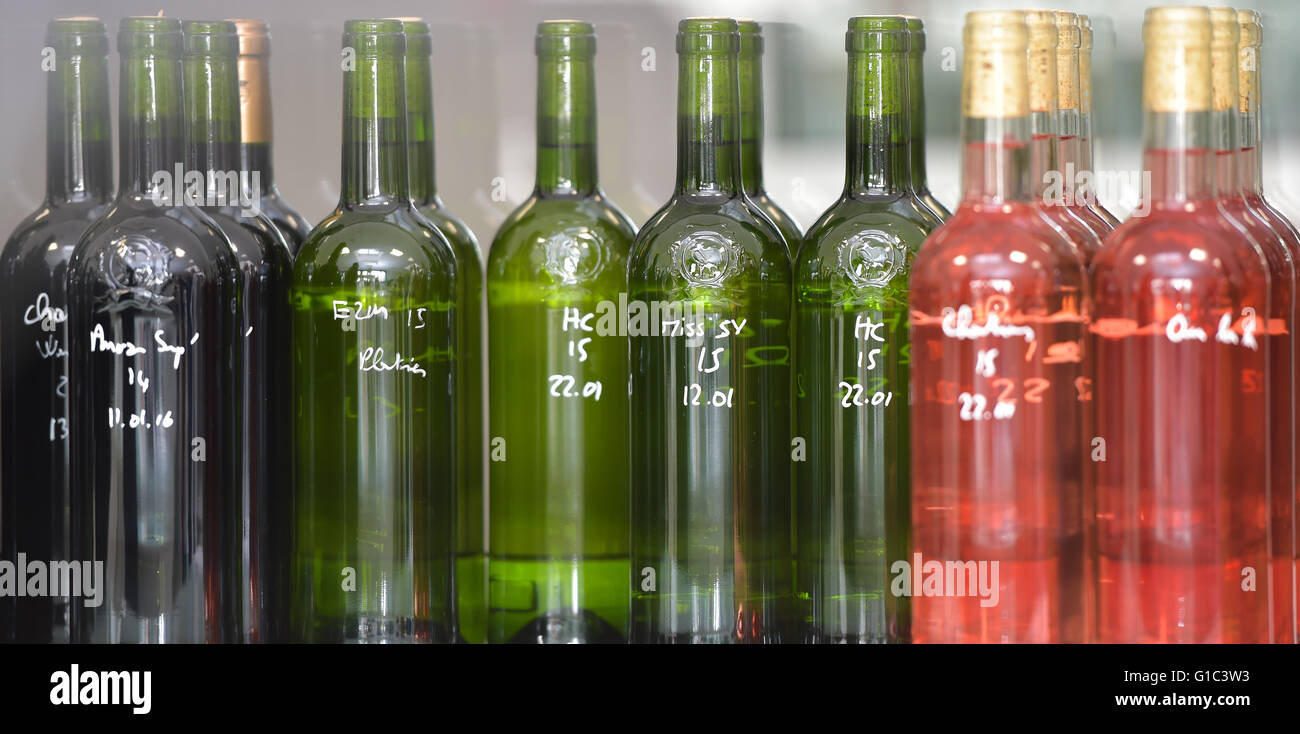 Wine quality control testing in laboratory Stock Photo - Alamy