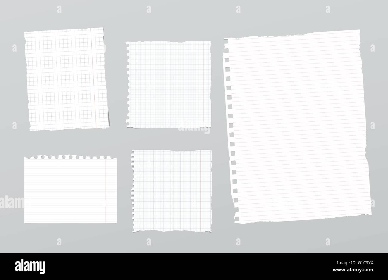 Pieces of torn white and different size lined, squared notebook paper ...