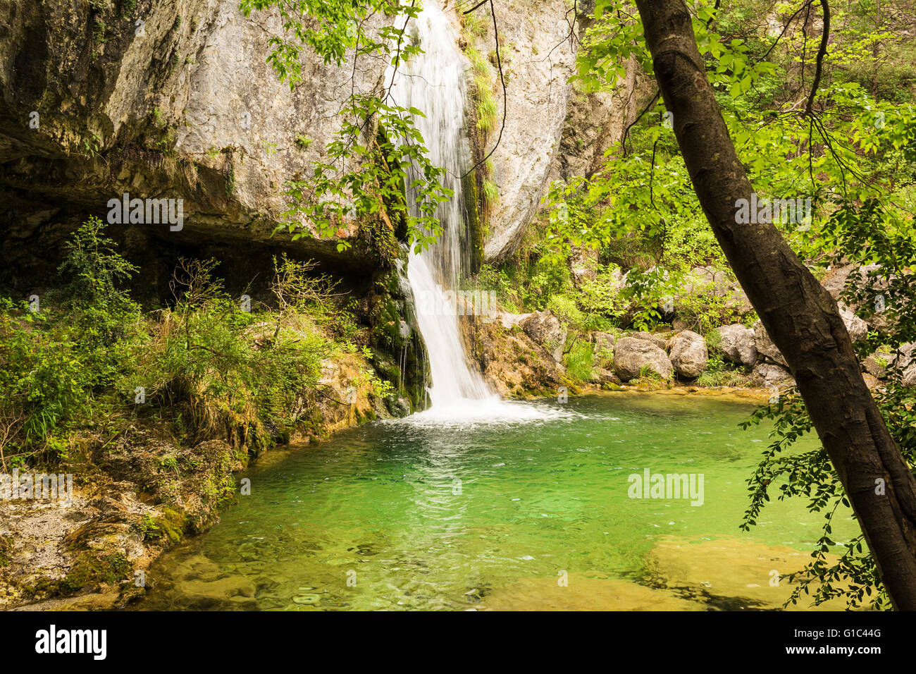 Forest waterfalls at Olympus mountain, Greece Stock Photo - Alamy