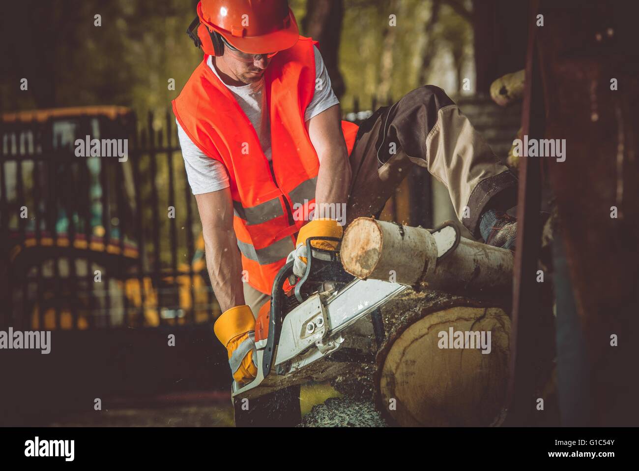 Wood Cut Lumber Works. Caucasian Men with Wood Cutter in Action Stock ...