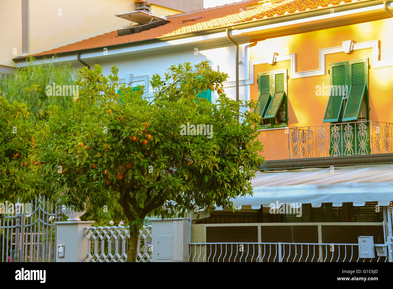 Orange tree near the modern house on the street of Italian city Stock ...