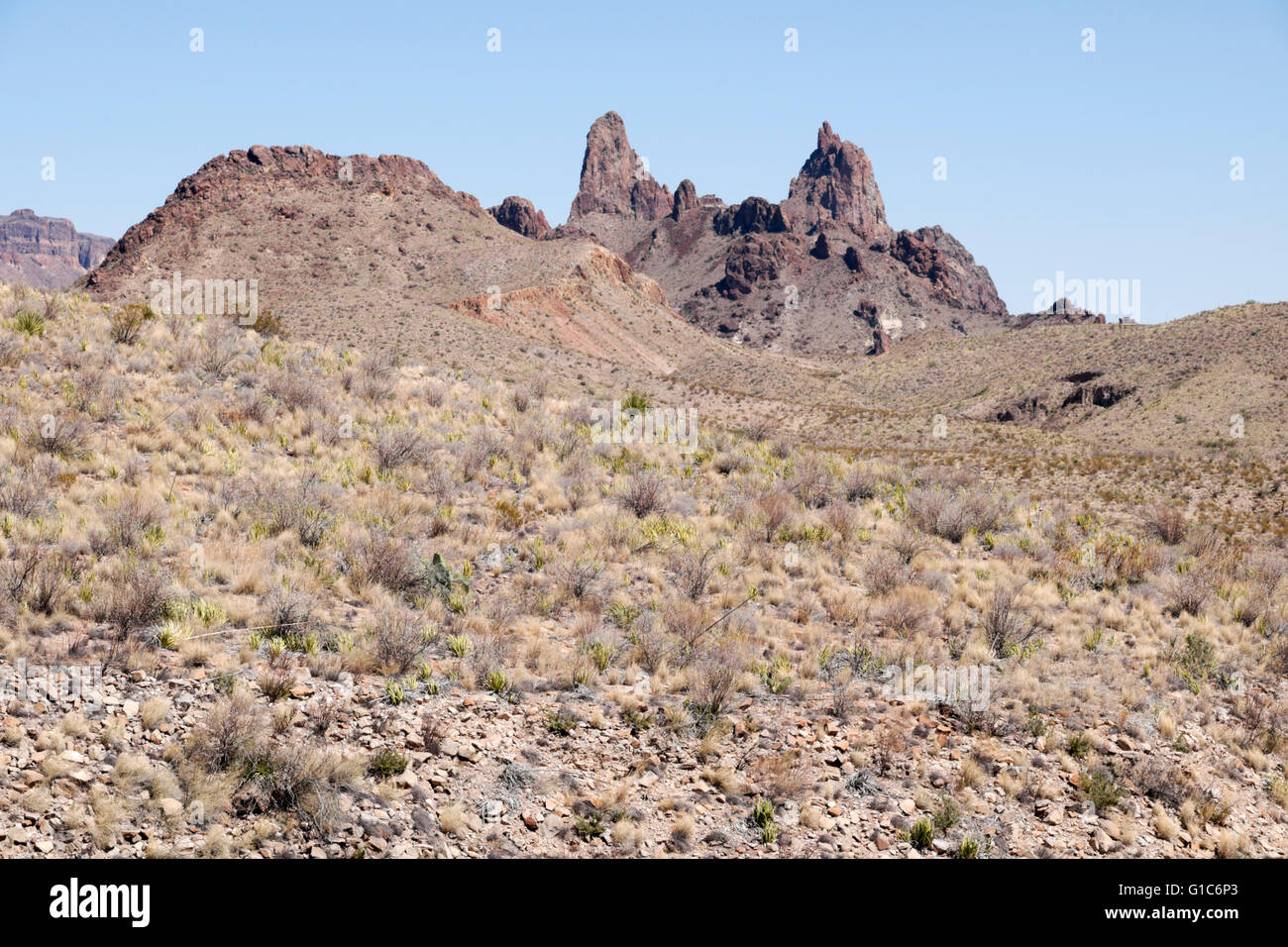 Mule ears peaks in the Big Bend National Park Stock Photo - Alamy