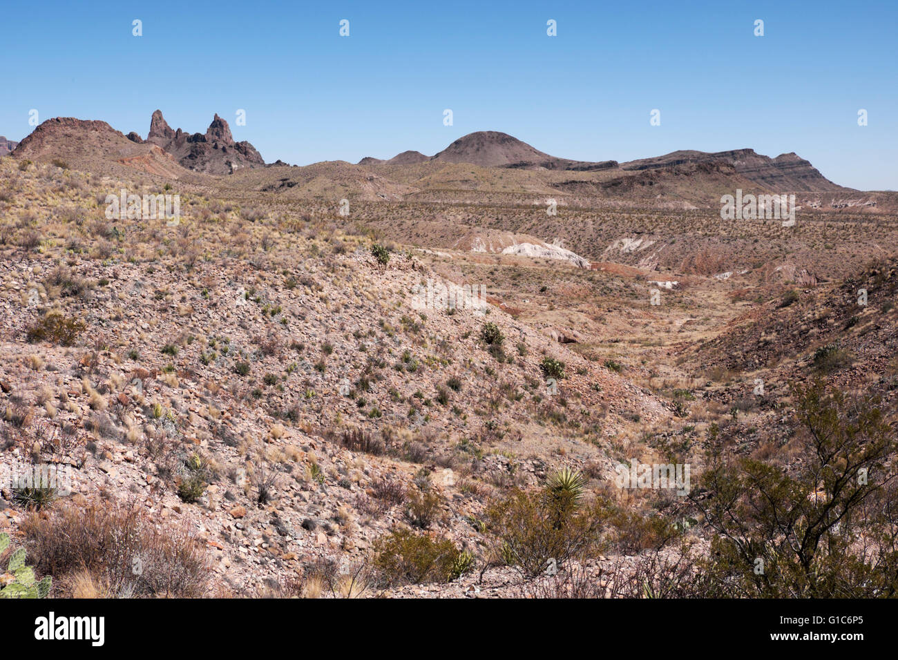 Mule ears peaks in the Big Bend National Park Stock Photo - Alamy