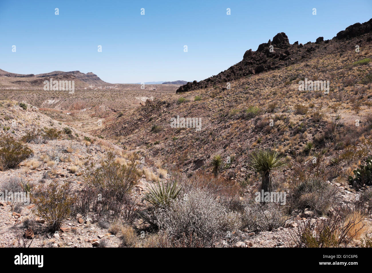 Big Bend National Park from Mule Ears Overlook on Castolon Road. Mule ...