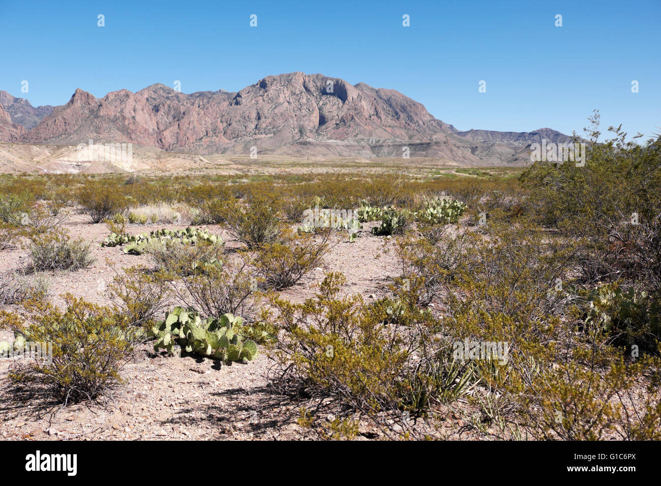 Big bend texas hi-res stock photography and images - Alamy