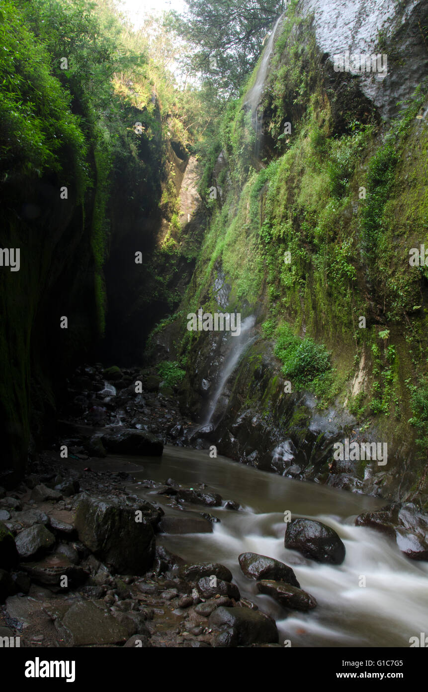 Goa Lalay, located in the village Sukadana Argapura District of ...