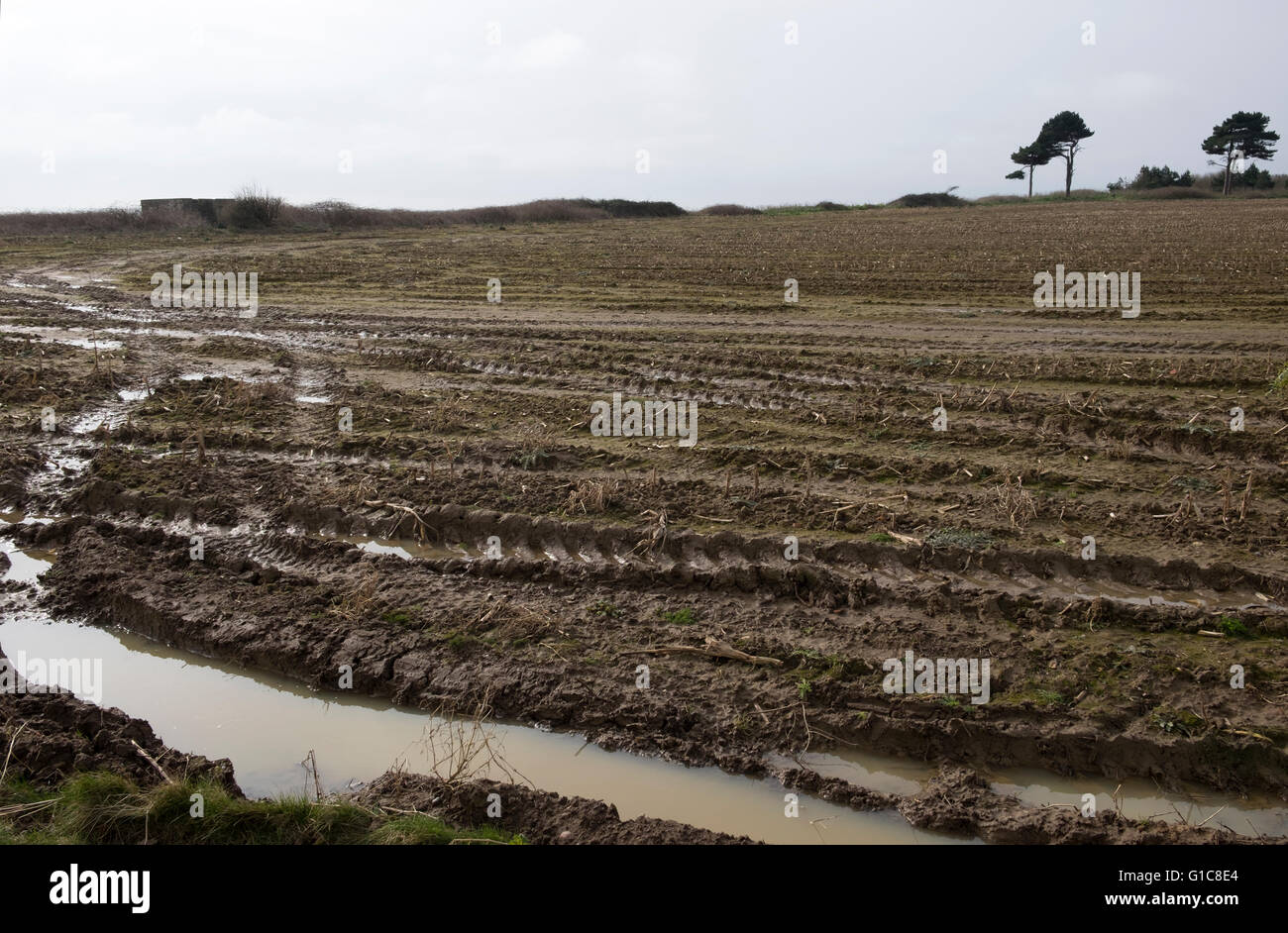 Farmland flooded hi-res stock photography and images - Alamy