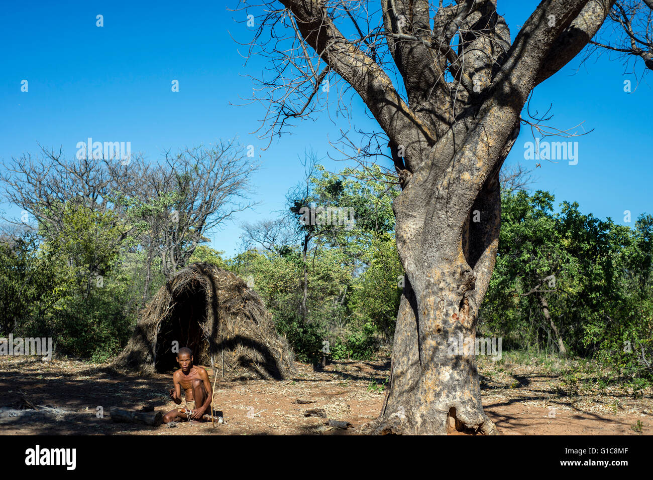 A San man from Grashoek. The Living Museum of the Ju’Hoansi-San ...