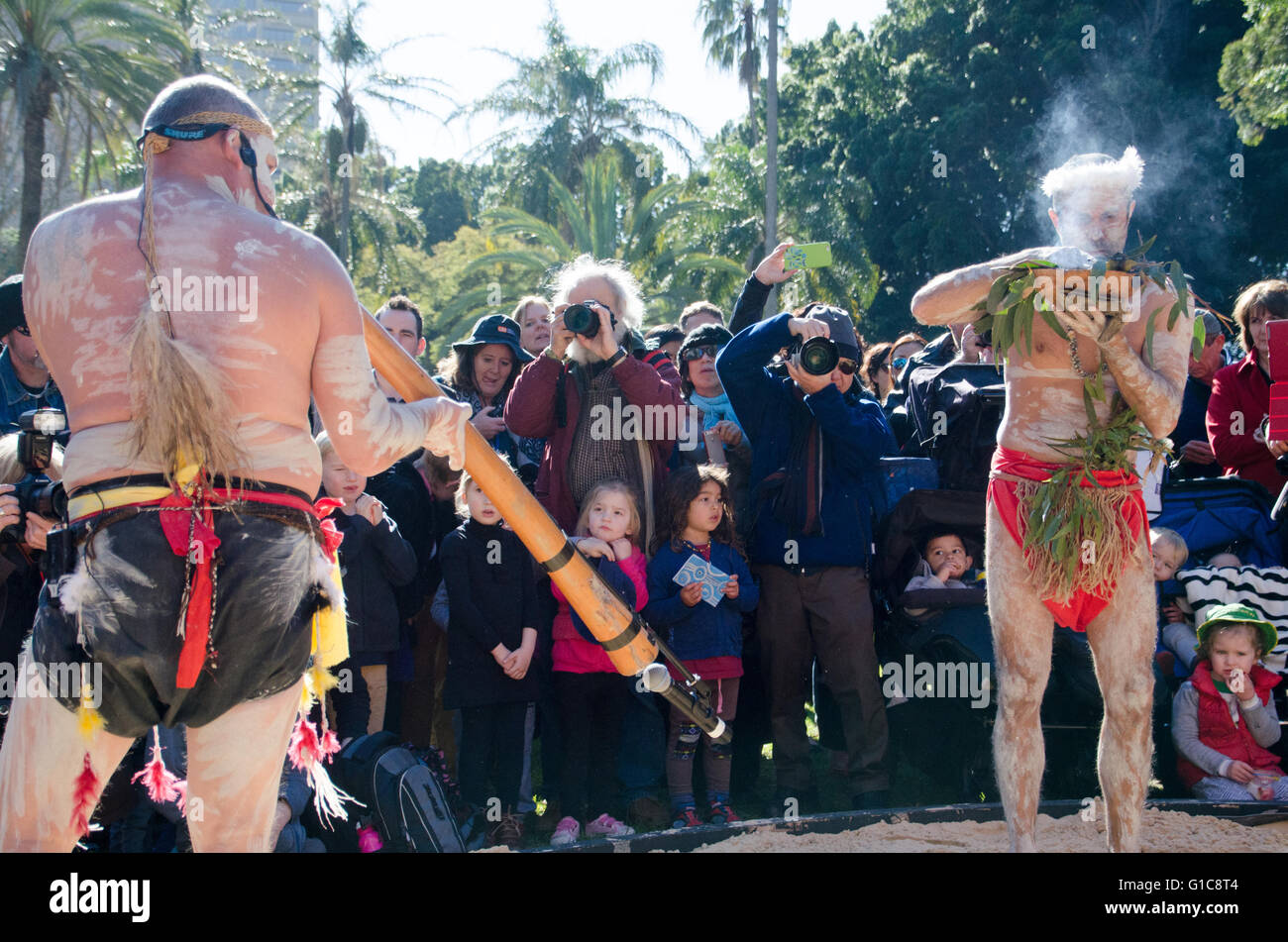 Torres strait dance ceremony hi-res stock photography and images - Alamy