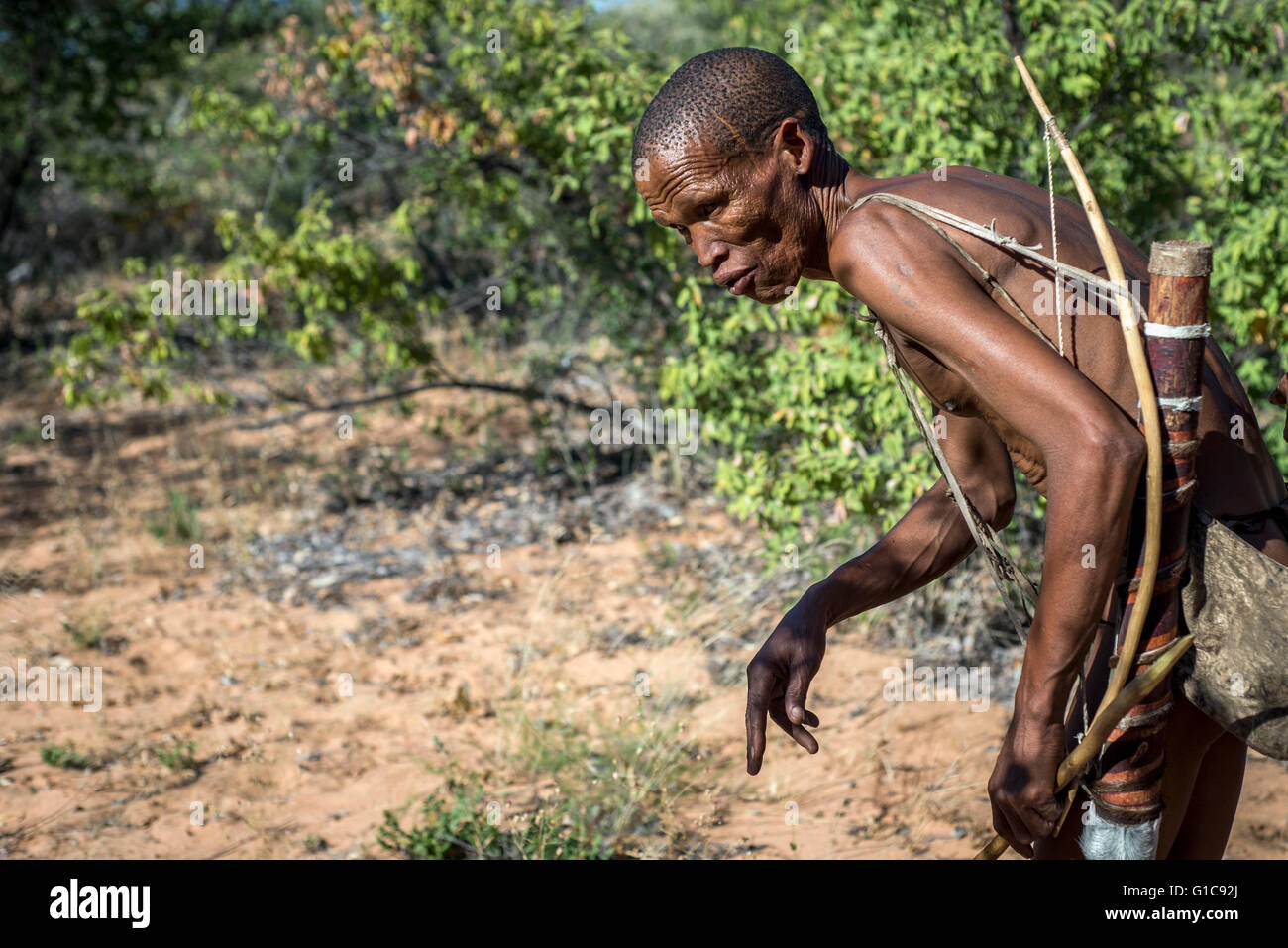 A San man checking animals' footsteps on sand during hunting in the ...