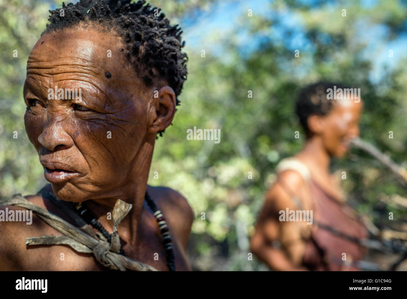 Women gathering firewood in the Living Museum of the Ju’Hoansi-San ...