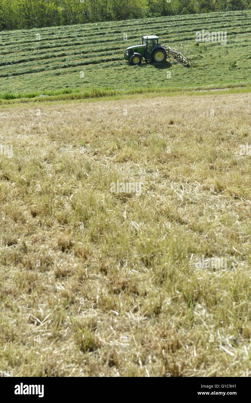Green Tractor turning grass in Emilia Romagna, Italy Stock Photo - Alamy
