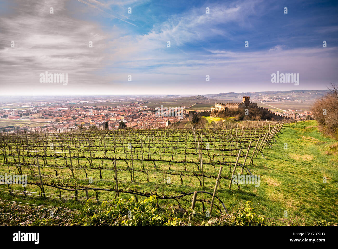 Veneto vineyards soave hi-res stock photography and images - Alamy