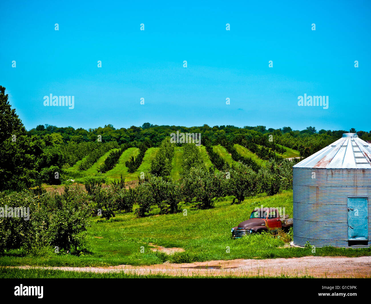 Peach orchards in missouri hi-res stock photography and images - Alamy